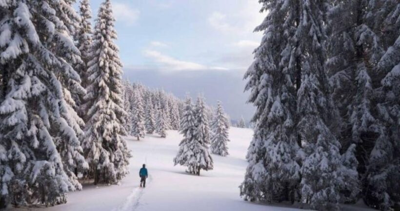 Colorado Backcountry: Guided Snowshoe Tour - Flexibility and Cancellation Policy