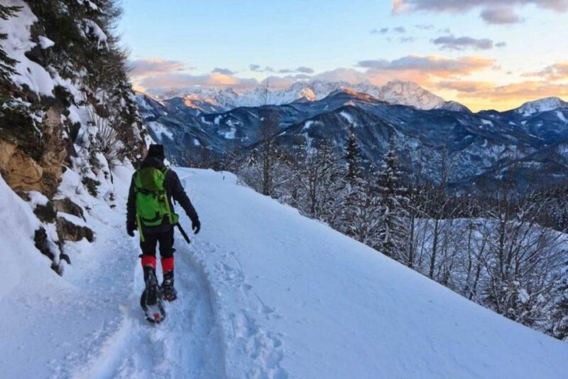 Colorado Backcountry: Guided Snowshoe Tour - Why This Tour Is a Great Choice