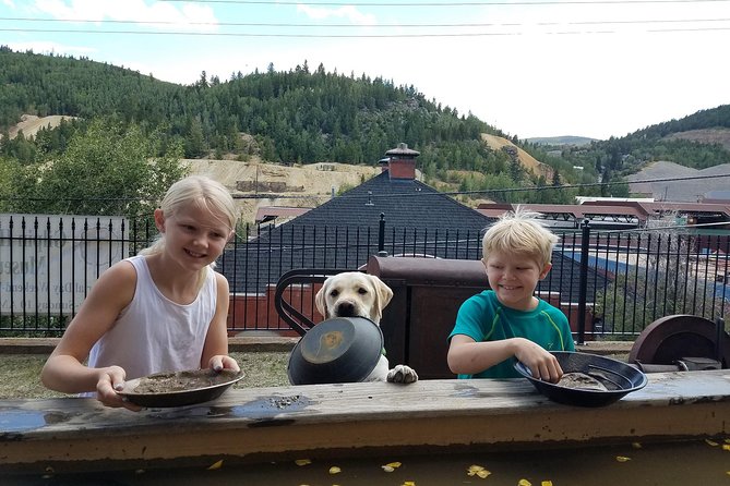 Colorado Gold Rush Mountain and Mine Half-Day Tour from Denver - Who Should Take This Tour?