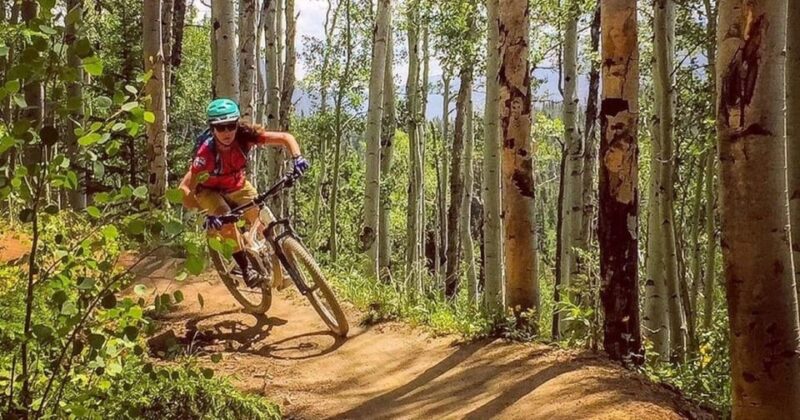 Colorado: Guided Mountain Bike Ride - The Sum Up: Who Will Love This Tour?