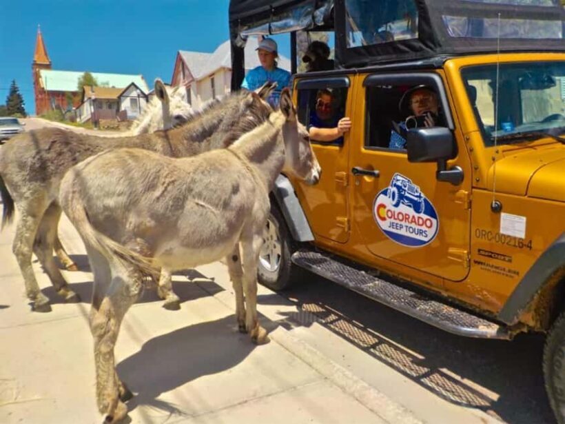Colorado Jeep Tours - Gold Belt Tour - Key Points