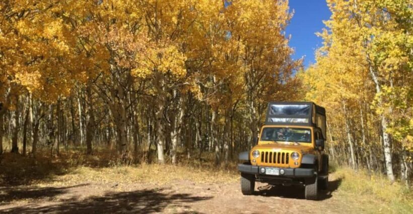 Colorado Jeep Tours - Gold Belt Tour - Who Will Love This Tour?