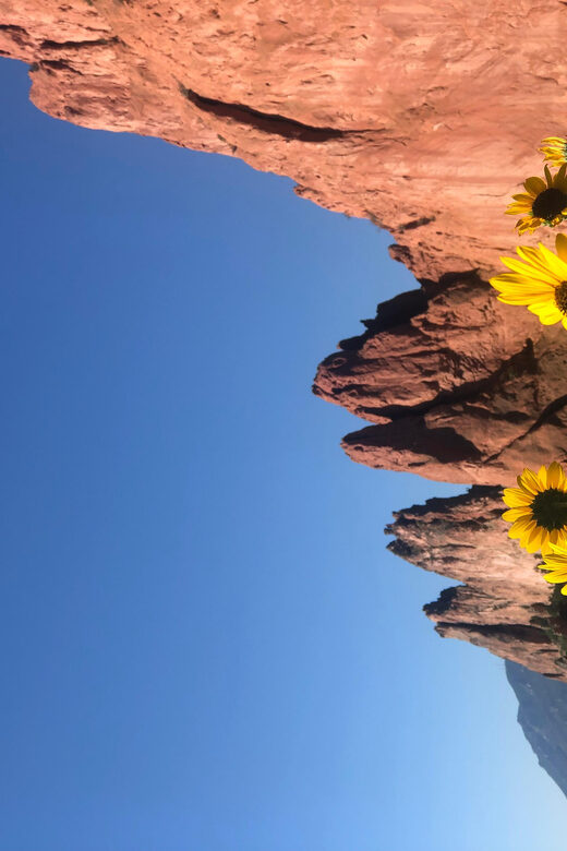 Colorado Springs: Garden of the Gods & Historic Town Tour - Key Points