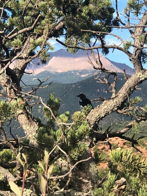 Colorado Springs: Garden of the Gods & Historic Town Tour - Authentic Experiences and Genuine Value
