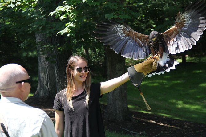 Colorado Springs Hands-On Falconry Class and Demonstration - FAQ