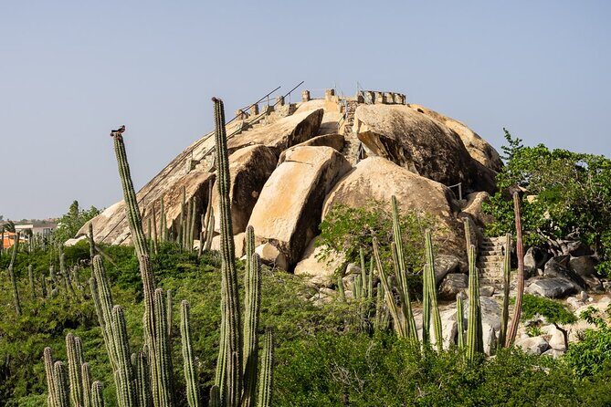 Colorful Beach Bus Sightseeing Tour of Aruba - The Sum Up