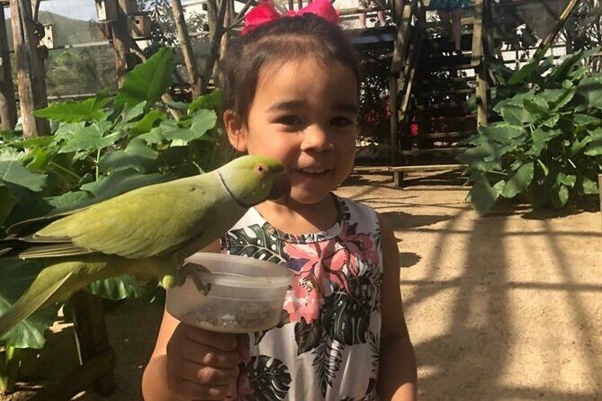 Colorful Species Of Birds - An In-Depth Look at the Tour Experience