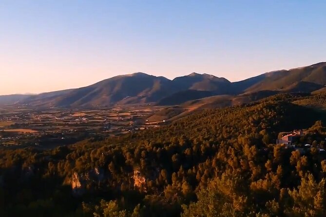 Colorful Tagliatelle & Walnut Ravioli  Home Cooking in Spoleto - Key Points