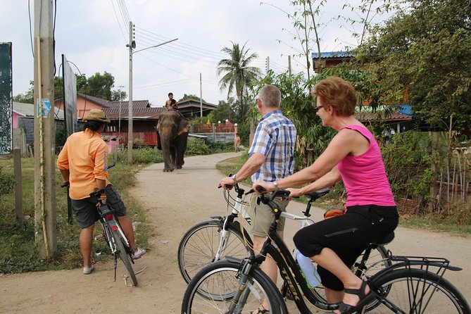 Colors of Ayutthaya Full-Day Bike Tour - FAQ