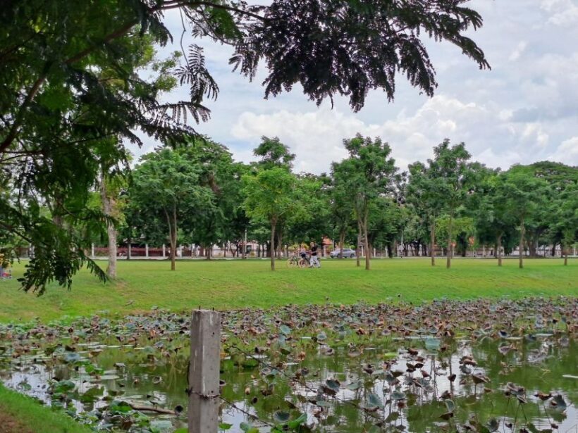 Colors of Ayutthaya: UNESCO Heritage 6 hour Bicycle Tour - Practical Details and Logistics