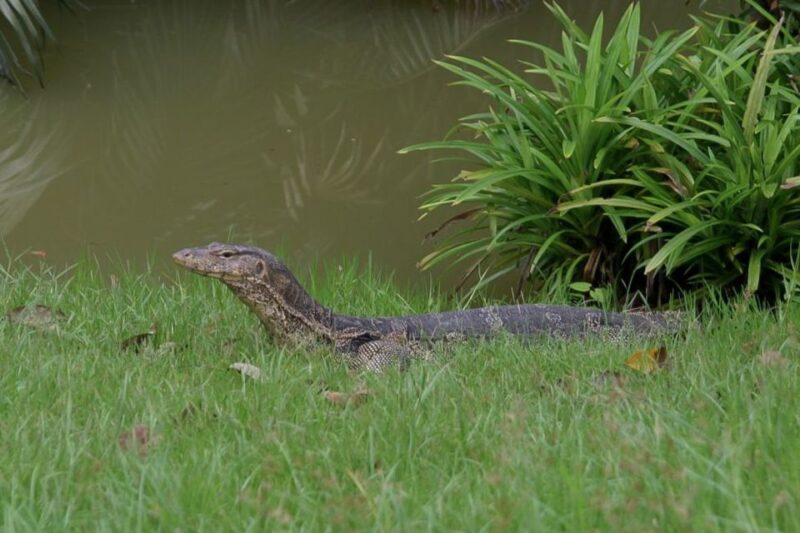Colors Of Bangkok: 4-Hour Small Group Bike Tour - Value for Money