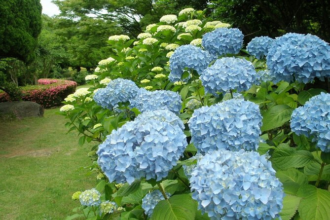 Colors of Japan, Fukuoka Nokonoshima Island Park & Wagyu BBQ - Meeting and Pickup Information