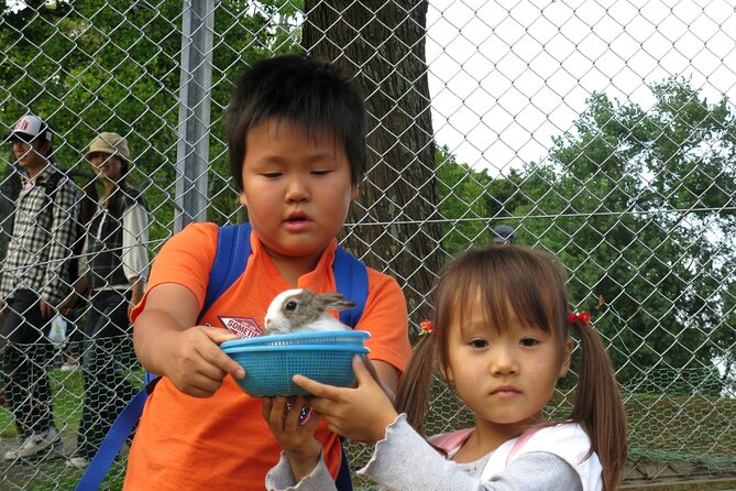 Colors of Japan, Fukuoka Nokonoshima Island Park & Wagyu BBQ - Booking Information