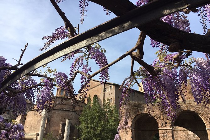 Colosseum and Ancient Rome - private tour - Pricing and Value