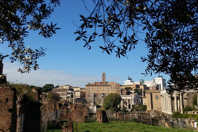Colosseum and Roman Forum Private Tour led by an archaeologist - Final Thoughts: Is It Worth It?