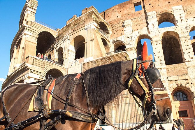 Colosseum Arena floor & Ancient Rome Tour for kids and Families - The Sum Up: Who Should Consider This Tour?