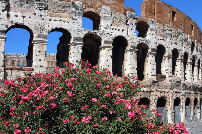 Colosseum Express Tour - The Colosseum: A New 7 Wonder of the World