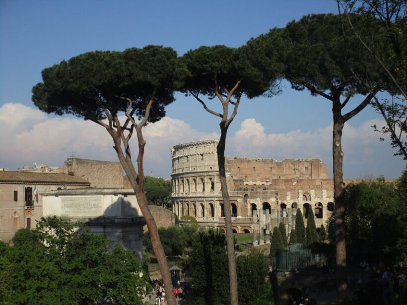 Colosseum Express Tour with Local Guide - The Experience in Detail