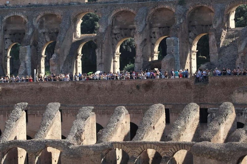 Colosseum, Forum & Palatine Hill Guided Walking tour - Authentic Traveler Feedback