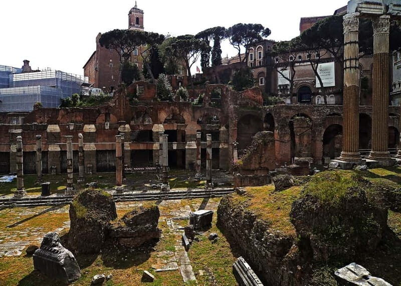 Colosseum, Forum & Palatine Hill Guided Walking tour - Who Should Consider This Tour?