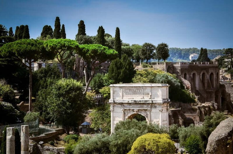Colosseum, Forum & Palatine Hill Guided Walking tour - The Sum Up