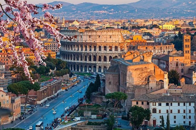 Colosseum, Forum, Palatine Hill With Arena Access & Audio Guide - Host Responses and Customer Support