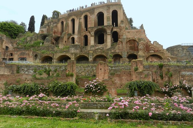 Colosseum Gladiator's Arena and Ancient Rome Tour - Final Thoughts