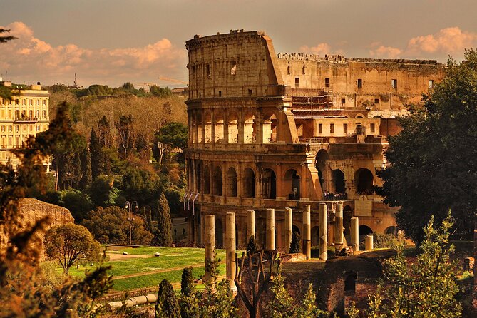 Colosseum Gladiators Arena and Roman Forum Guided Tour - Tour Operator Considerations