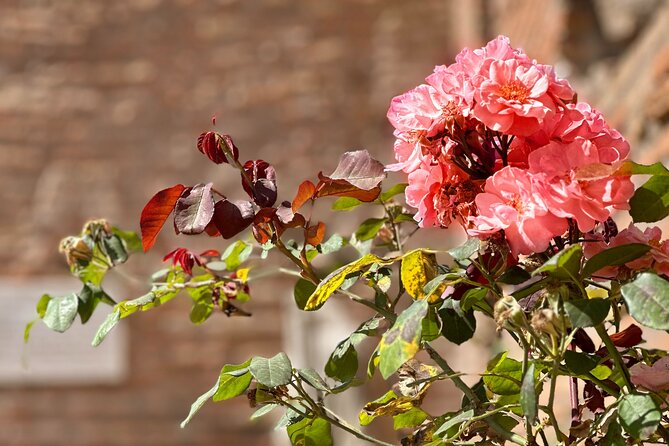 Colosseum Guided Tour With Roman Forum & Palatine Hill - Visiting the Palatine Hill