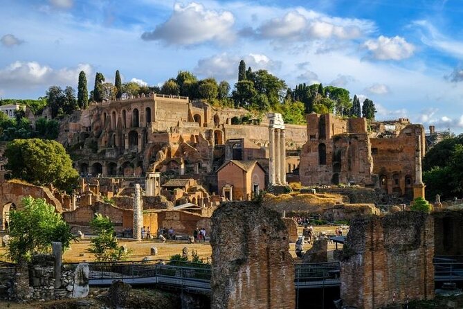 Colosseum, Palatine hill and Roman forum Access - Who Should Consider This Tour?