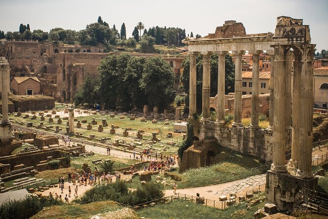 Colosseum, Roman Forum and Palatine Hill Fully Guided Tour - Participant Requirements and Recommendations