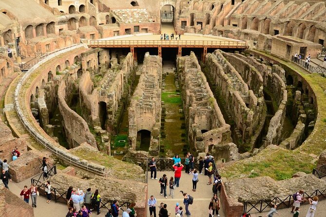Colosseum, Roman Forum and Palatine Hill Fully Guided Tour - Customer Feedback and Experience Insights