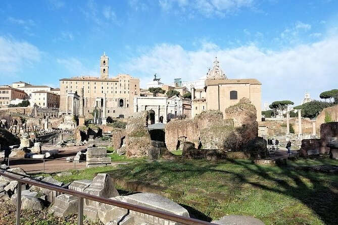 Colosseum, Roman Forum and Palatine Hill- Private Tour - Customer Reviews