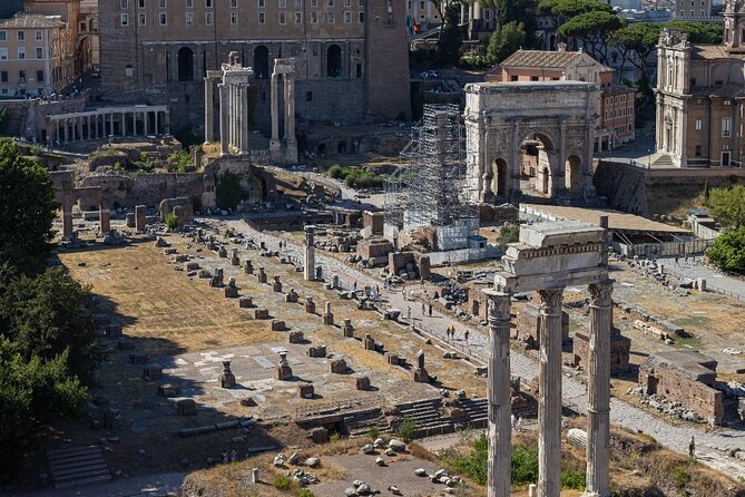 Colosseum, Roman Forum and Palatine hill with Guide Book - Who Will Benefit Most?