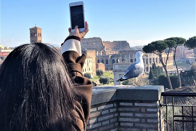 Colosseum, Roman Forum, Palatine - Exclusive Private Tour - Key Points