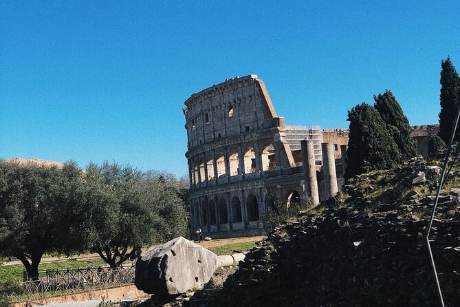Colosseum, Roman Forum, Palatine Hill Experience - Navigating the Colosseum