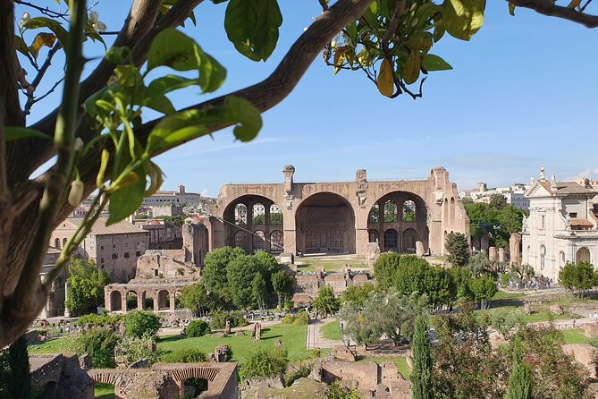 Colosseum, Roman Forum & Palatine Hill Experience Review - Important Information for Travelers