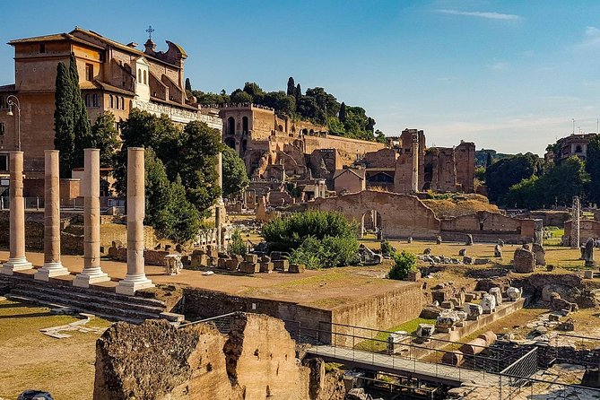 Colosseum, Roman Forum,& Palatine Hill private tour - What Travelers Say