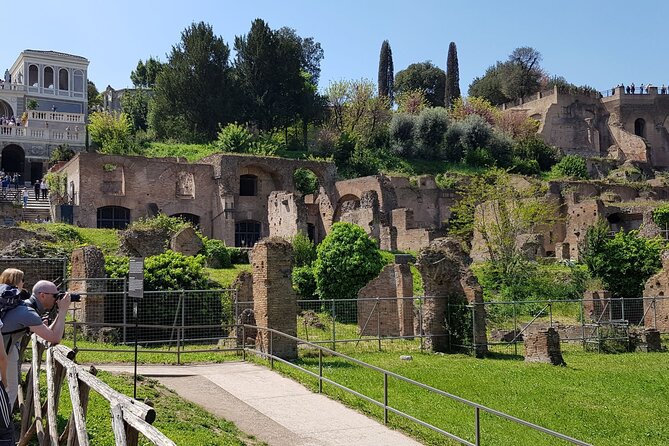 Colosseum, Roman Forum & Palatine Hill Review - Tour Experience