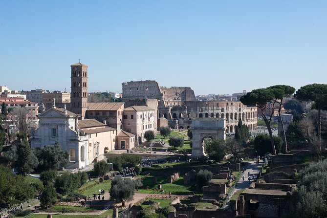 Colosseum Tour With Palatine Hill and Roman Forum - Exploring the Roman Forum