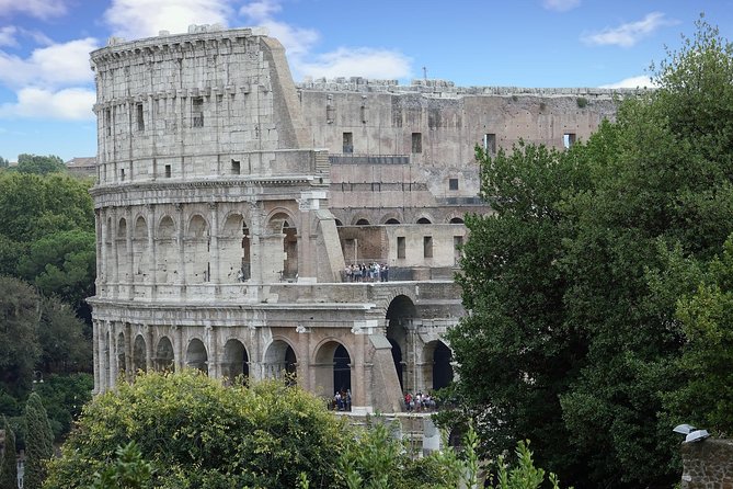 Colosseum With Access to Arena Floor and Ancient Rome - Traveler Reviews and Feedback