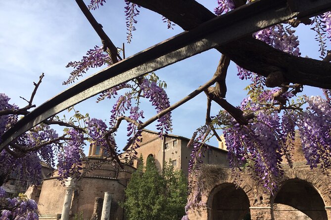 Colosseum with Arena Floor, Roman Forum and Palatine Hill - Private Tour - The Sum Up