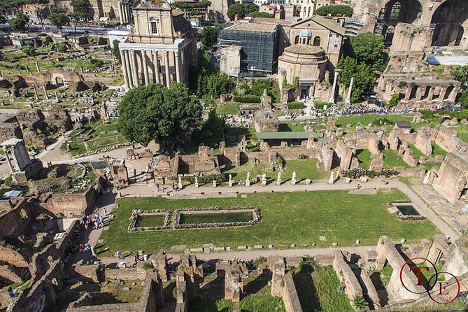 Colosseum With Gladiator Arena Floor, Forum & Palatine Hill Tour - Discovering the Roman Forum