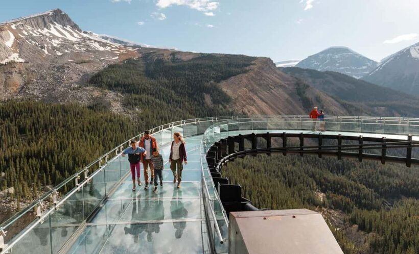 Columbia Icefield Adventure, Bow Lake & Peyto Lake Tour - A Day in the Rockies: What to Expect