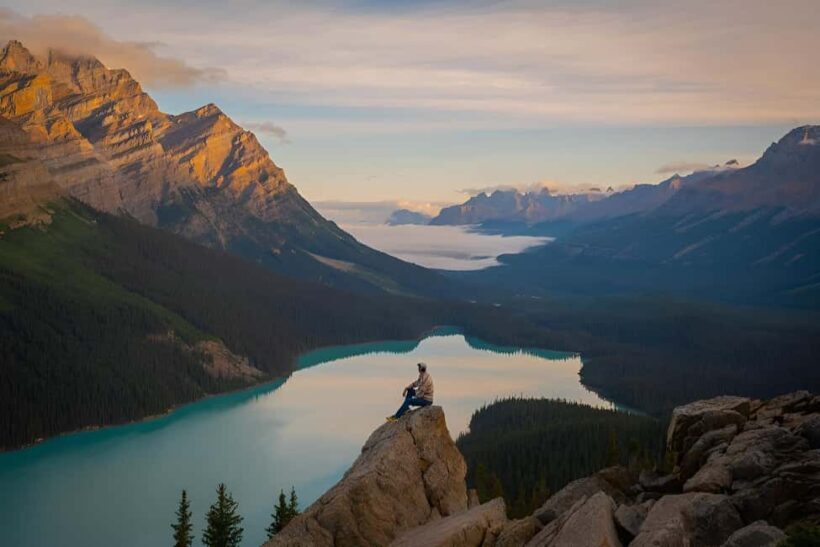 Columbia Icefield Adventure, Bow Lake & Peyto Lake Tour - Authentic Encounters and Real Traveler Feedback