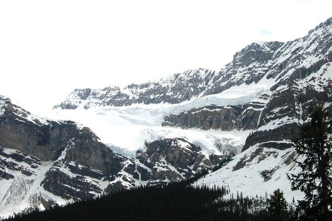 Columbia Icefield Glacier Adventure Day Tour from Calgary/ Banff - The Transportation and Group Size