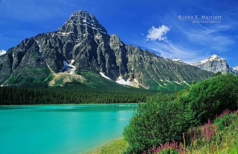 Columbia icefield, Skywalk, Waterfowl, Bow & Peyto Lake Tour - A Deep Dive Into the Rocky Mountain Day
