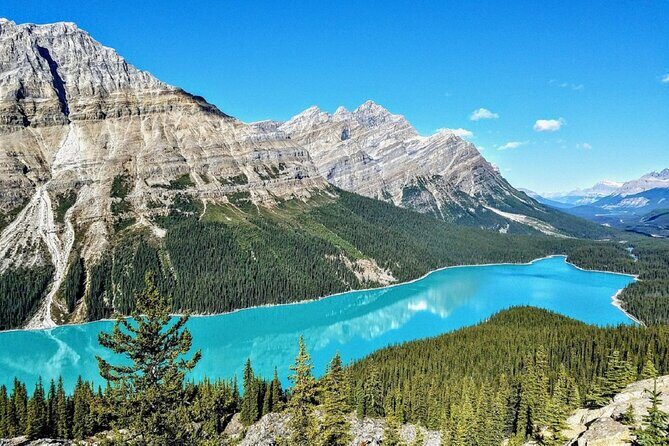 Columbia Icefield,Peyto Lake,Bow Lake Day Trip from Banff/Calgary - The Sum Up