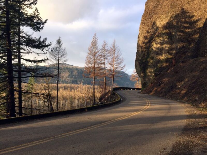 Columbia River Gorge Half-Day Small-Group Hiking Tour - Who Will Love This Tour?