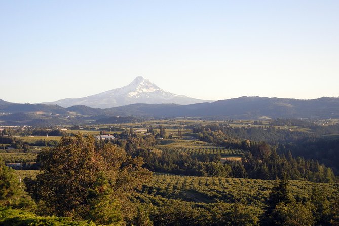 Columbia River Gorge Waterfalls & Mt Hood Tour from Portland, OR - Authentic Experiences and Highlights